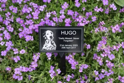 Pets Plastic Grave Marker | Phoenix Pet Cremations