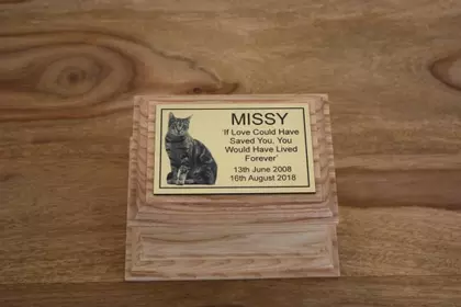 Caskets & Urns for Cats | Phoenix Pet Cremations