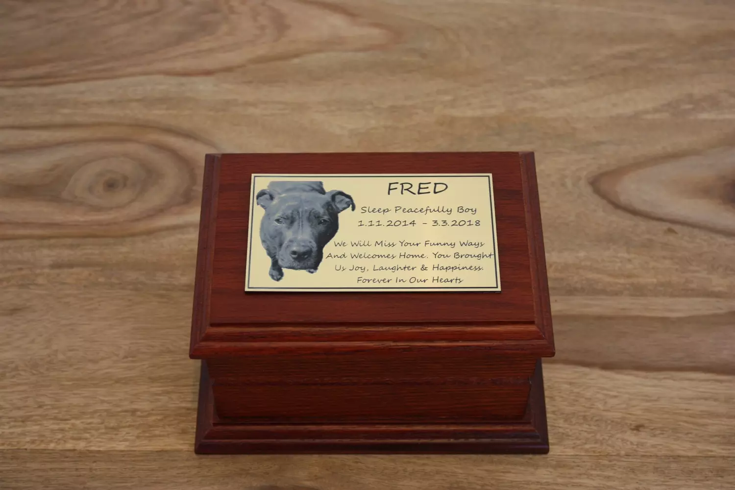 Caskets & Urns for Dogs | Phoenix Pet Cremations
